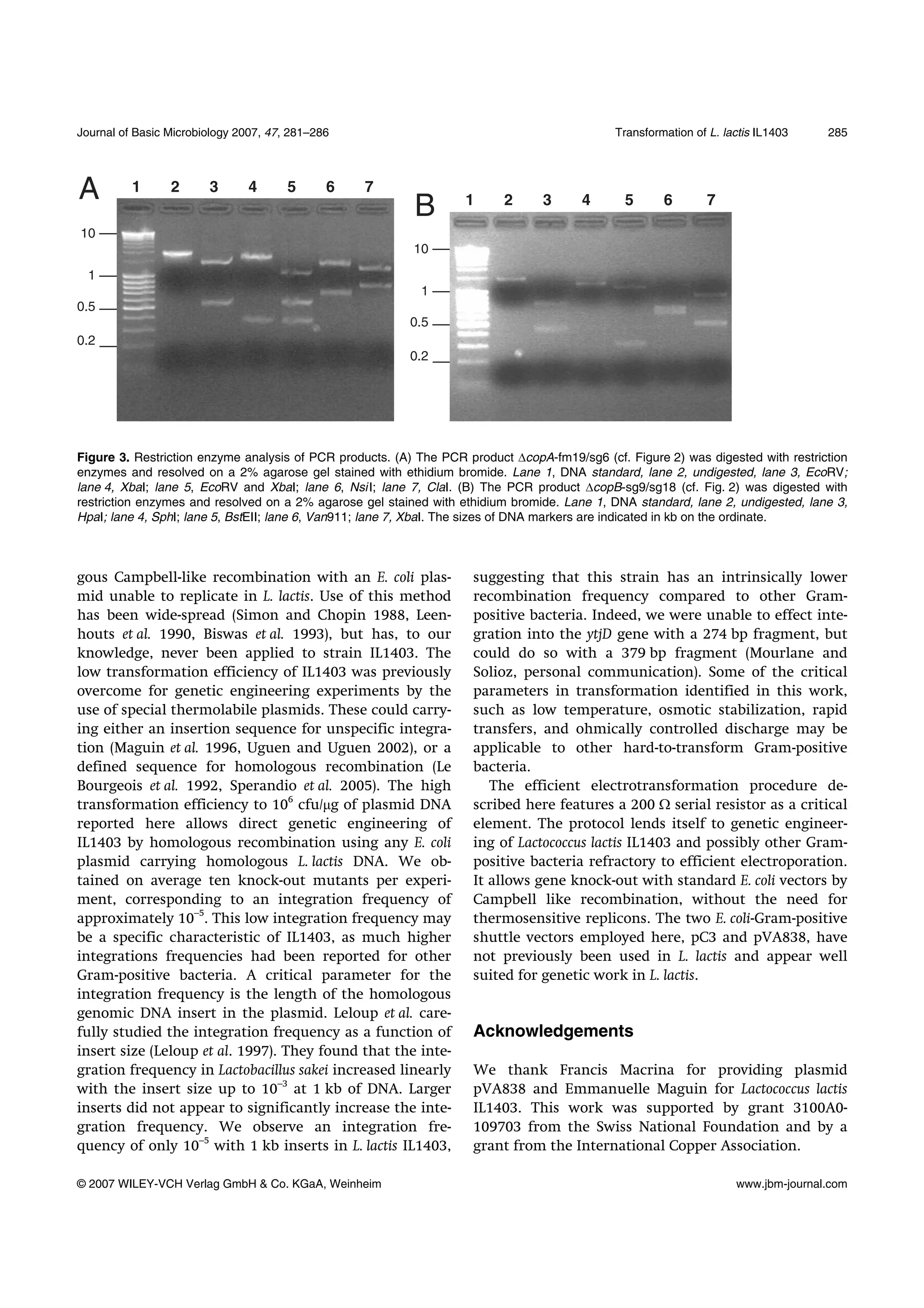 Efficient transformation of lactococcus lactis il1403 and generation of knock out mutants by ...
