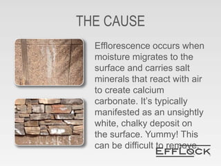 Introduction to EffLock Efflorescence-Curing System | PPTX