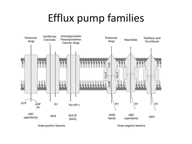 Efflux pump | PPTX