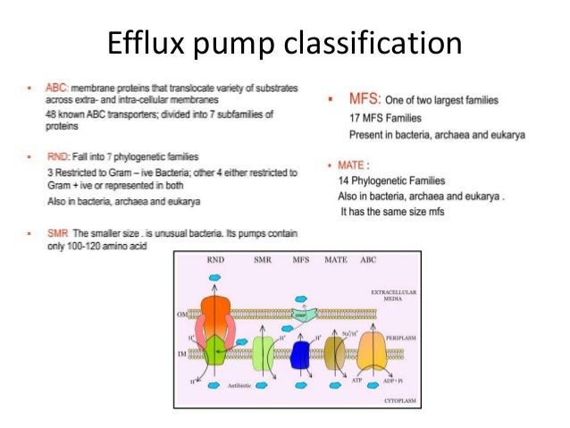 Efflux pump