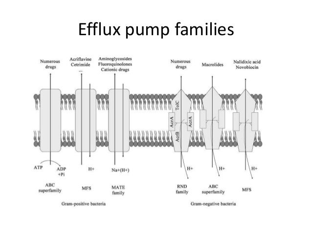 Efflux pump
