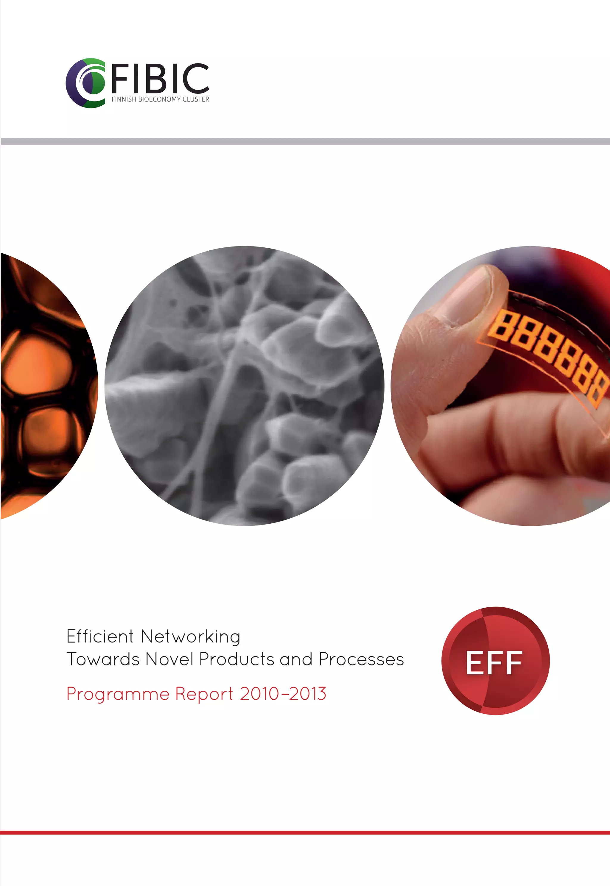 FIBIC EffNet programme report | PDF