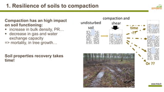 Soil mechanics and trafficability - EFFORTE Business Forum | PPTX