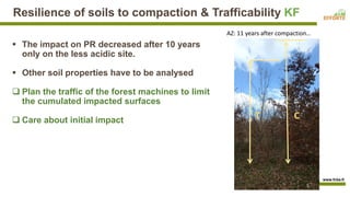 Soil mechanics and trafficability - EFFORTE Business Forum | PPTX