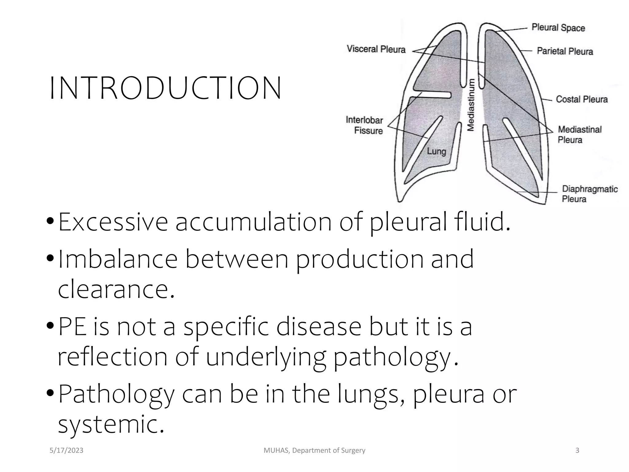 effusion.pptx
