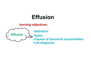 Effusion | PDF | Lung and Respiratory Health | Diseases and Conditions