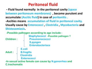 Effusion | PDF | Lung and Respiratory Health | Diseases and Conditions