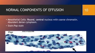 Effusion cytology.pptx
