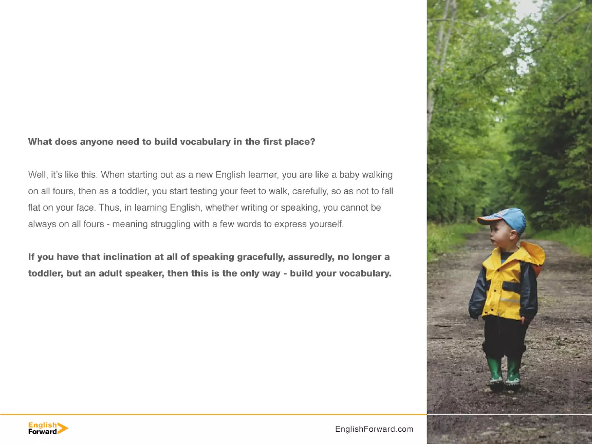 How To Build Vocabulary Faster | PDF