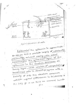 Semi solid dosage form | PDF