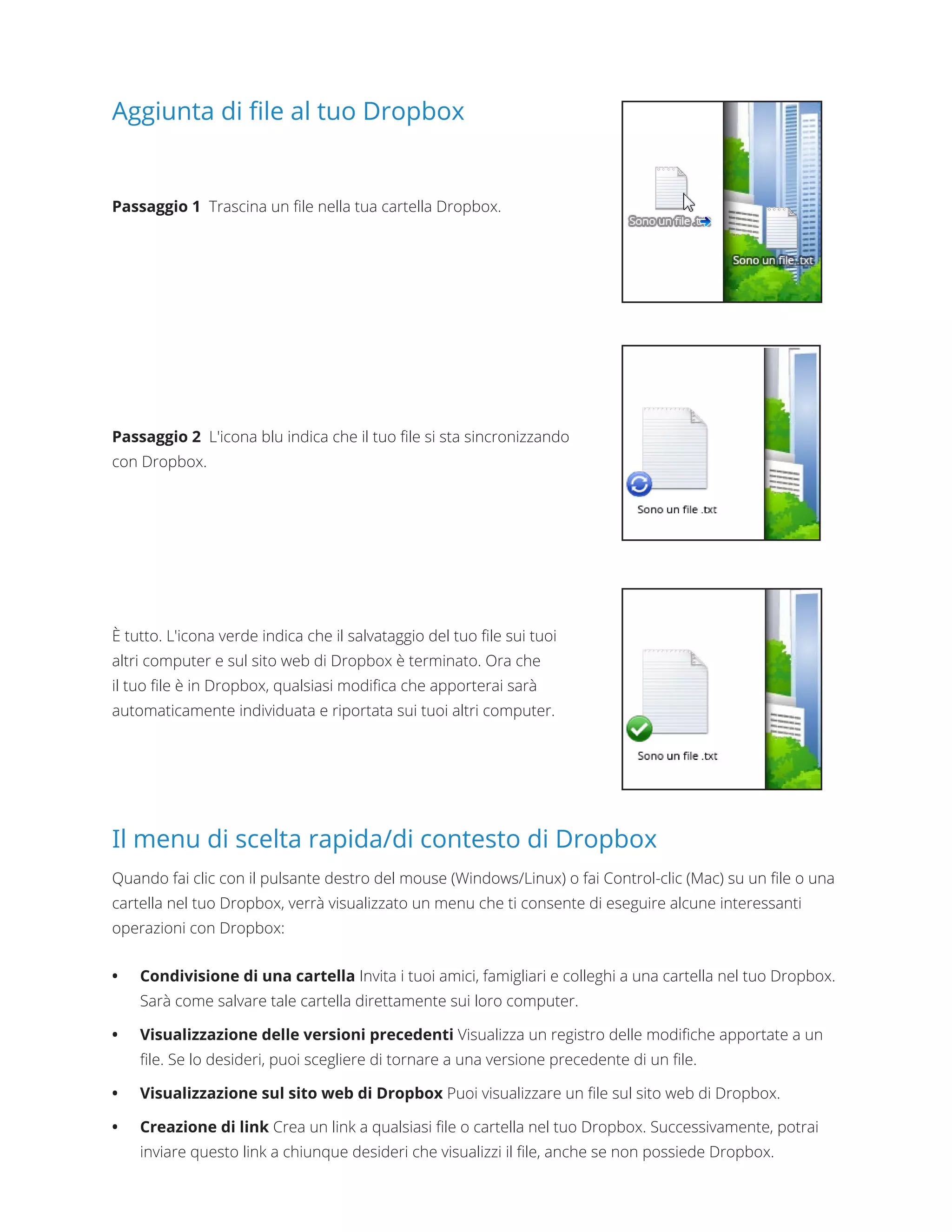 Guida rapida di dropbox | PDF