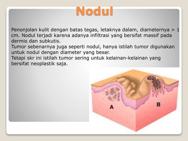 Efloresensi (modul kulit dan jaringan penunjang) | PPTX