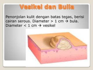 Efloresensi (modul kulit dan jaringan penunjang) | PPTX