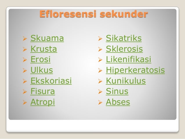 Efloresensi (modul kulit dan jaringan penunjang)