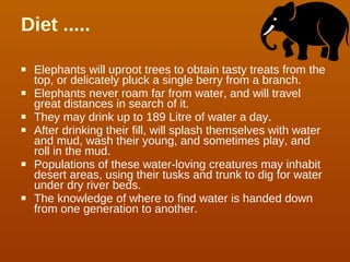 E for Elephant | PPT