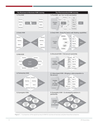 KAM Journey in Pharmaceutical Industry | PDF