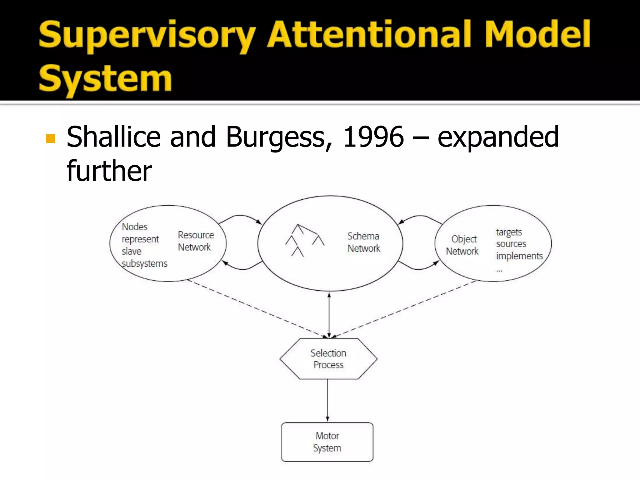 Executive Function of Brain | PPTX