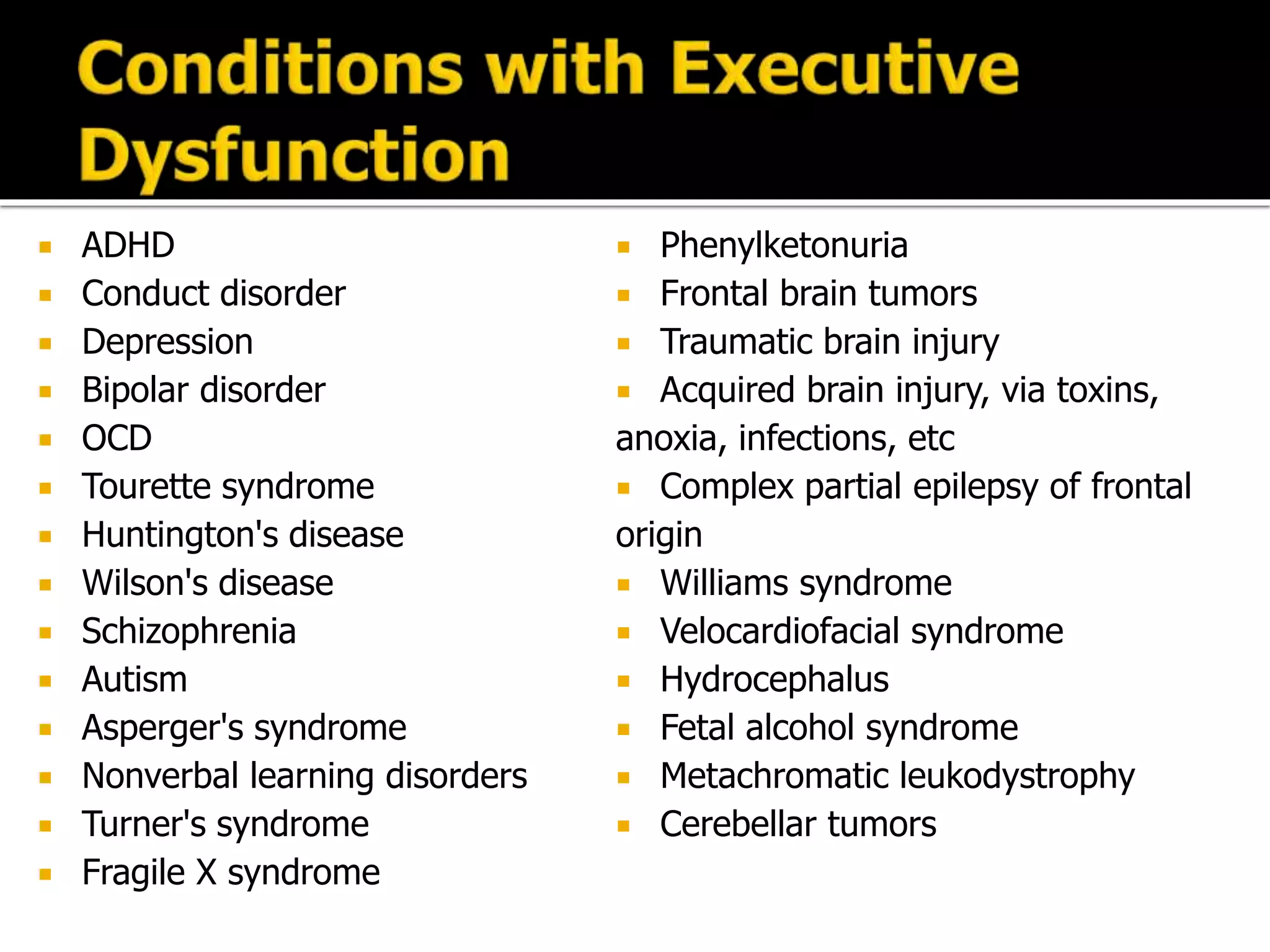 Executive Function of Brain | PPTX