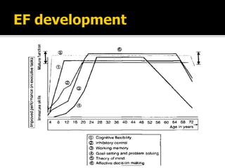 Executive Function of Brain | PPTX