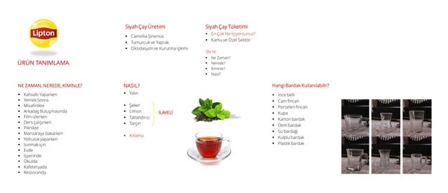Lipton - Efsane Lipton - Marka Yönetimi | PDF