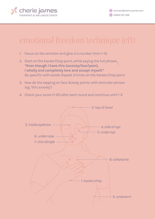 EFT Guide.pdf | First Aid | Injuries