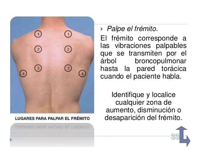Exploración Física de Tórax