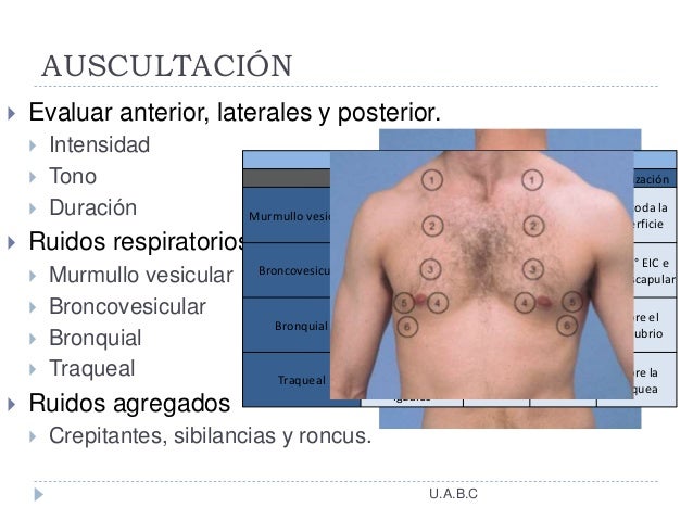 Exploración Física de Tórax