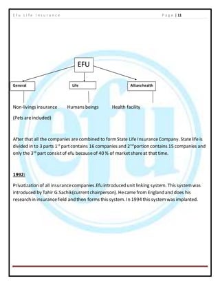 Efu Complete Internship Report | DOCX