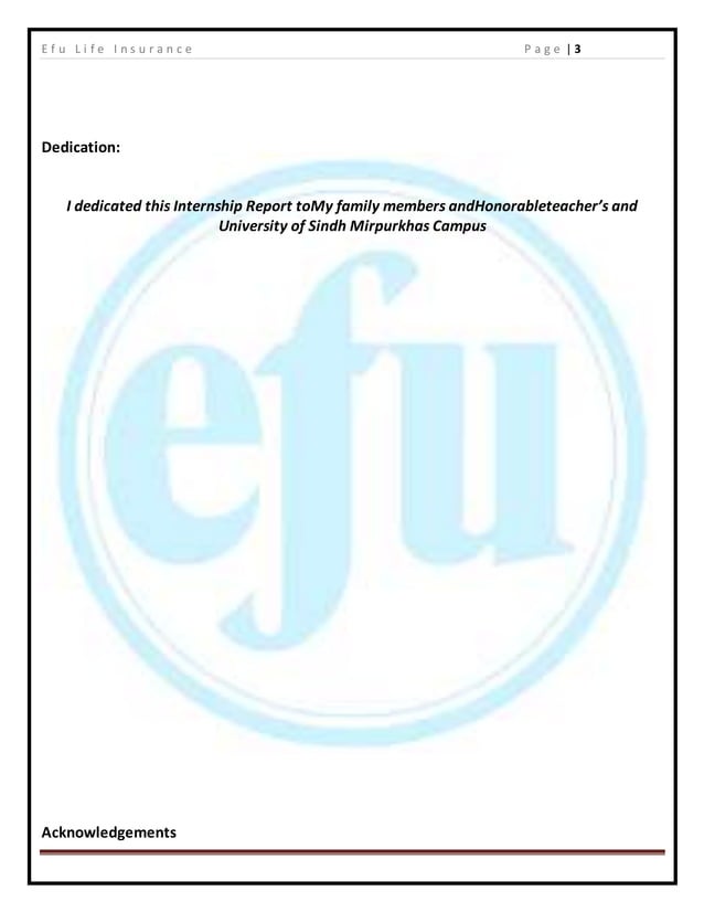 Efu Complete Internship Report | DOCX | Life Insurance | Insurance