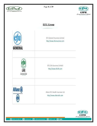 Internship Report on EFU life Assurance Ltd | DOCX