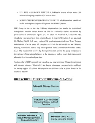 Efu project | DOC