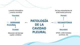 ECOGRAFÍA ACERCA DE EFUSIÓN PLEURAL Y NEUMOTÓRAX.pptx