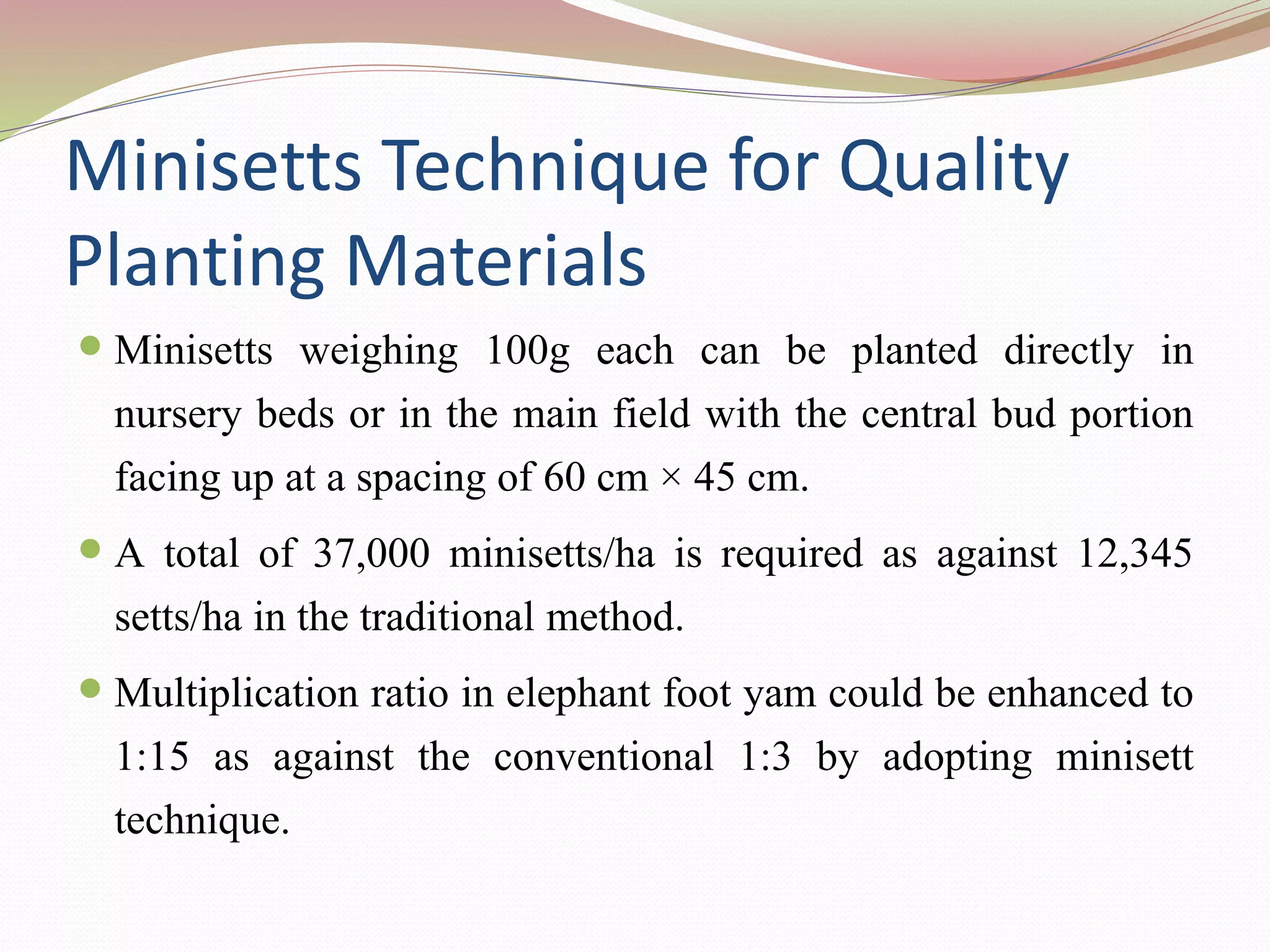 ELEPHANT FOOT YAM | PPTX