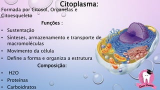 HISTOLOGIA - CITOLOGIA | PPTX