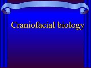 gnatology | PPT