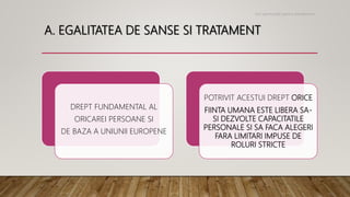 Egalitate de sanse | PPTX