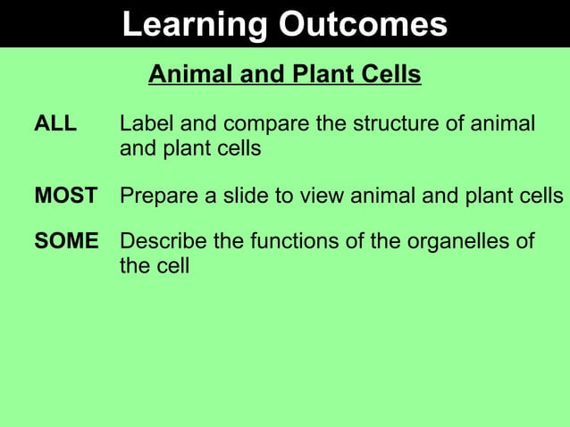 Animal and Plant cells | PPT | Biological Sciences | Science