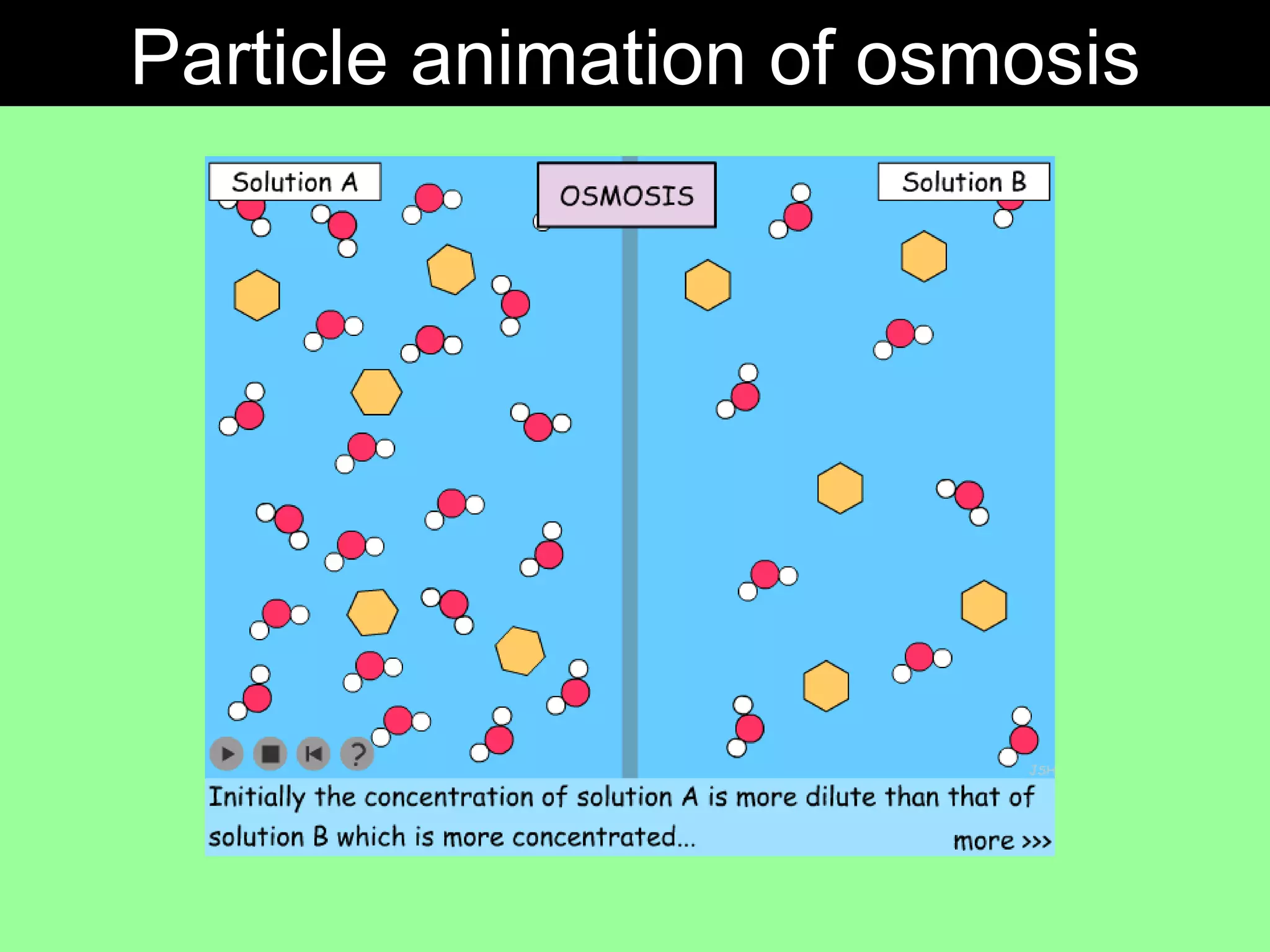 Diffusion and Osmosis | PPT