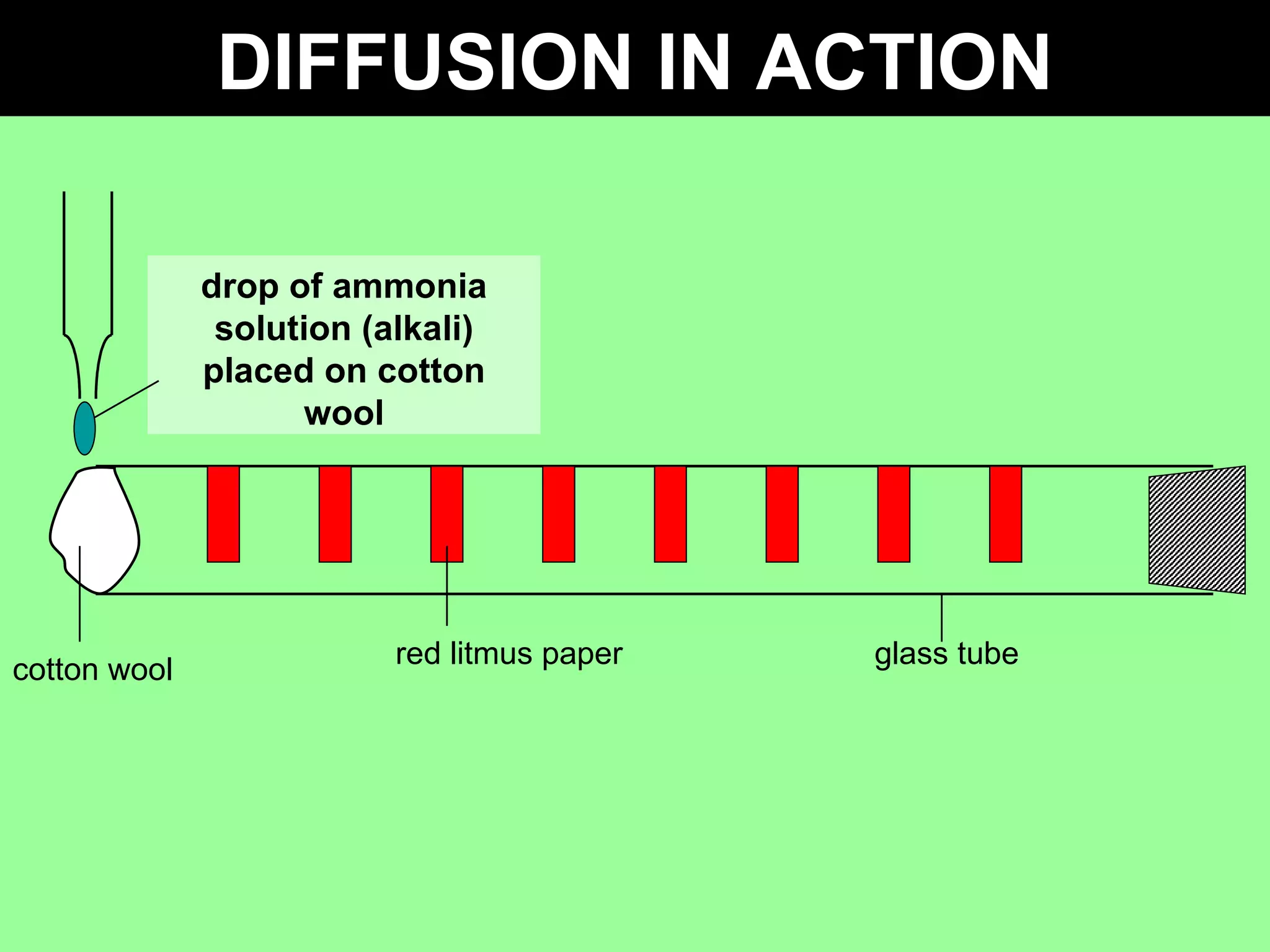 Diffusion and Osmosis | PPT