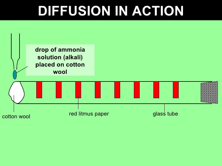 Diffusion and Osmosis