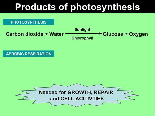 GCSE Biology Limiting factors | PPT