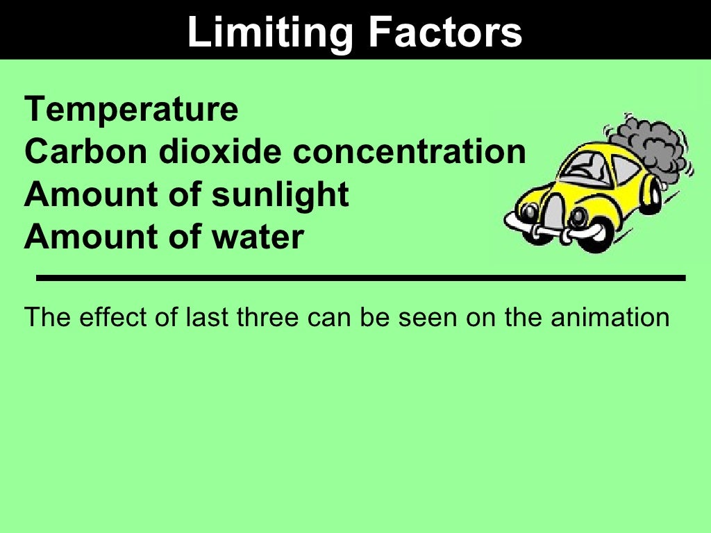 GCSE Biology Limiting factors