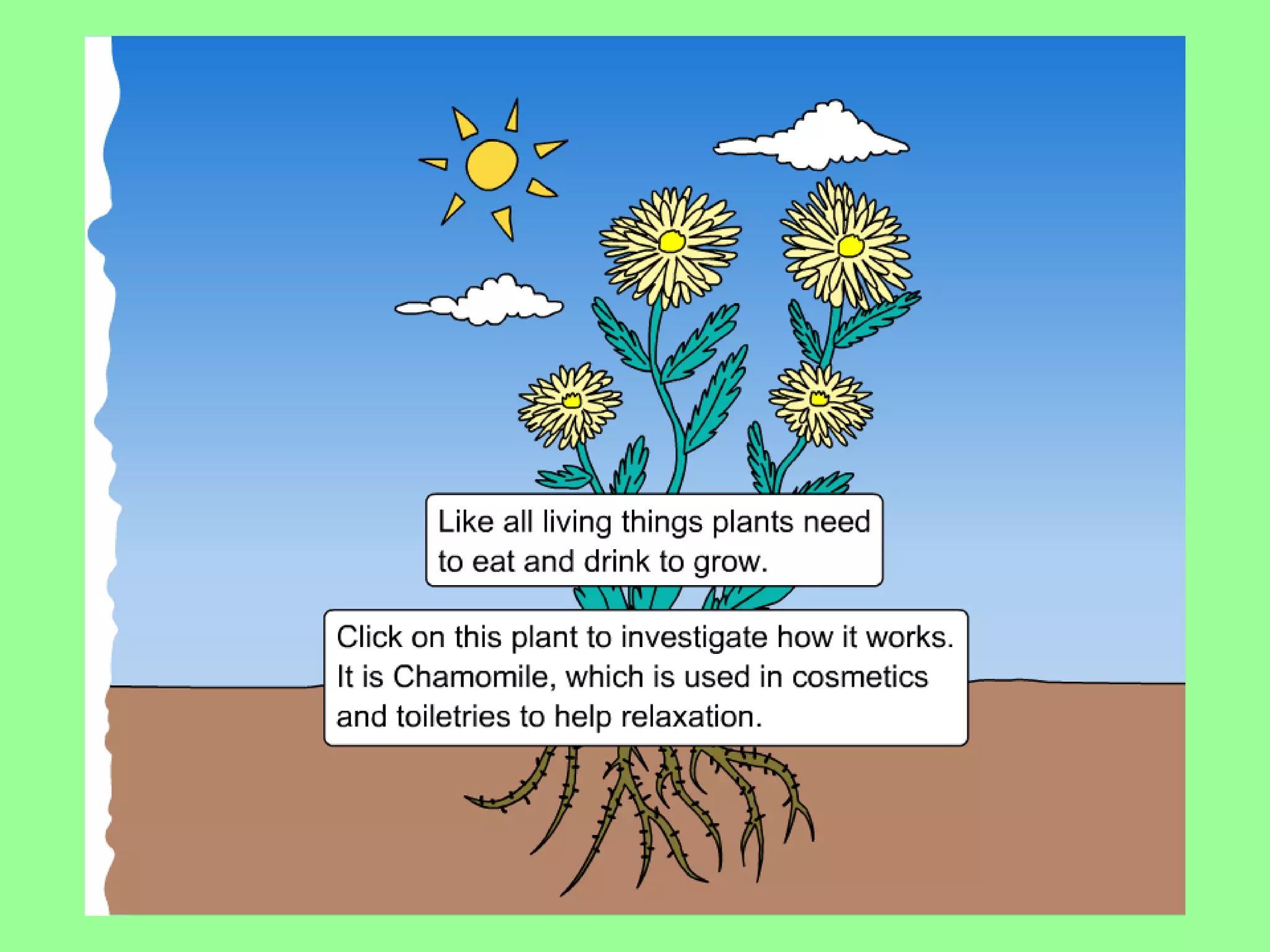 GCSE Biology Photosynthesis | PPT
