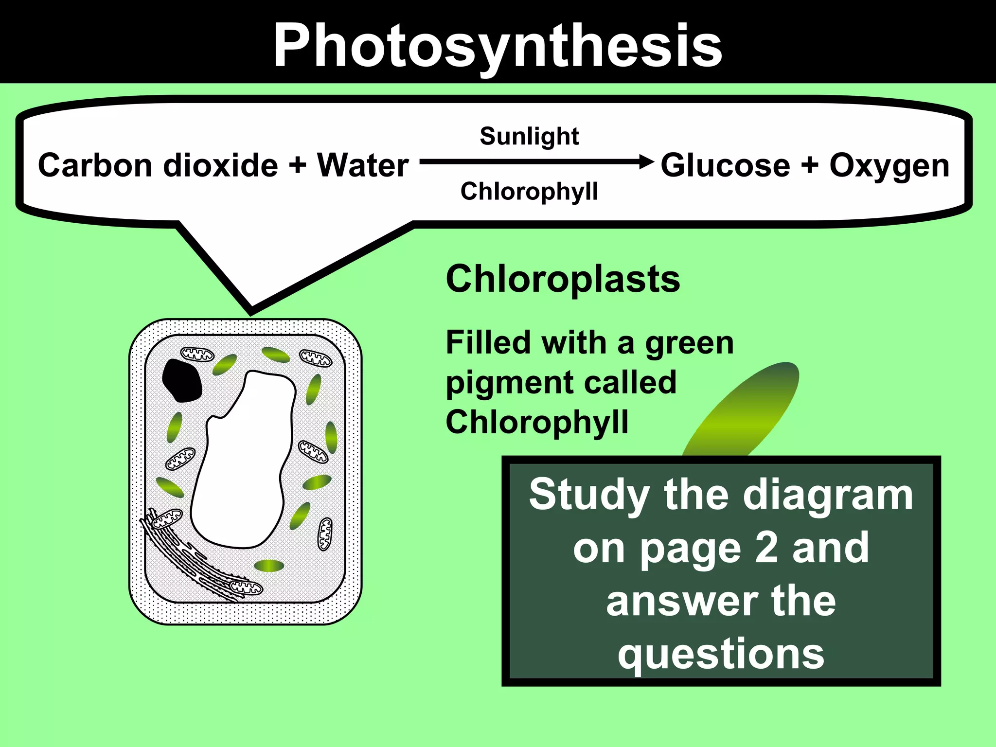 GCSE Biology Photosynthesis | PPT