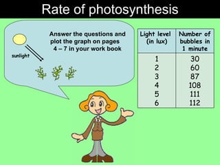 GCSE Biology Photosynthesis | PPT