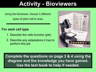 GCSE Biology Photosynthesis | PPT