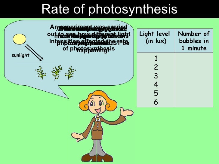 GCSE Biology Photosynthesis