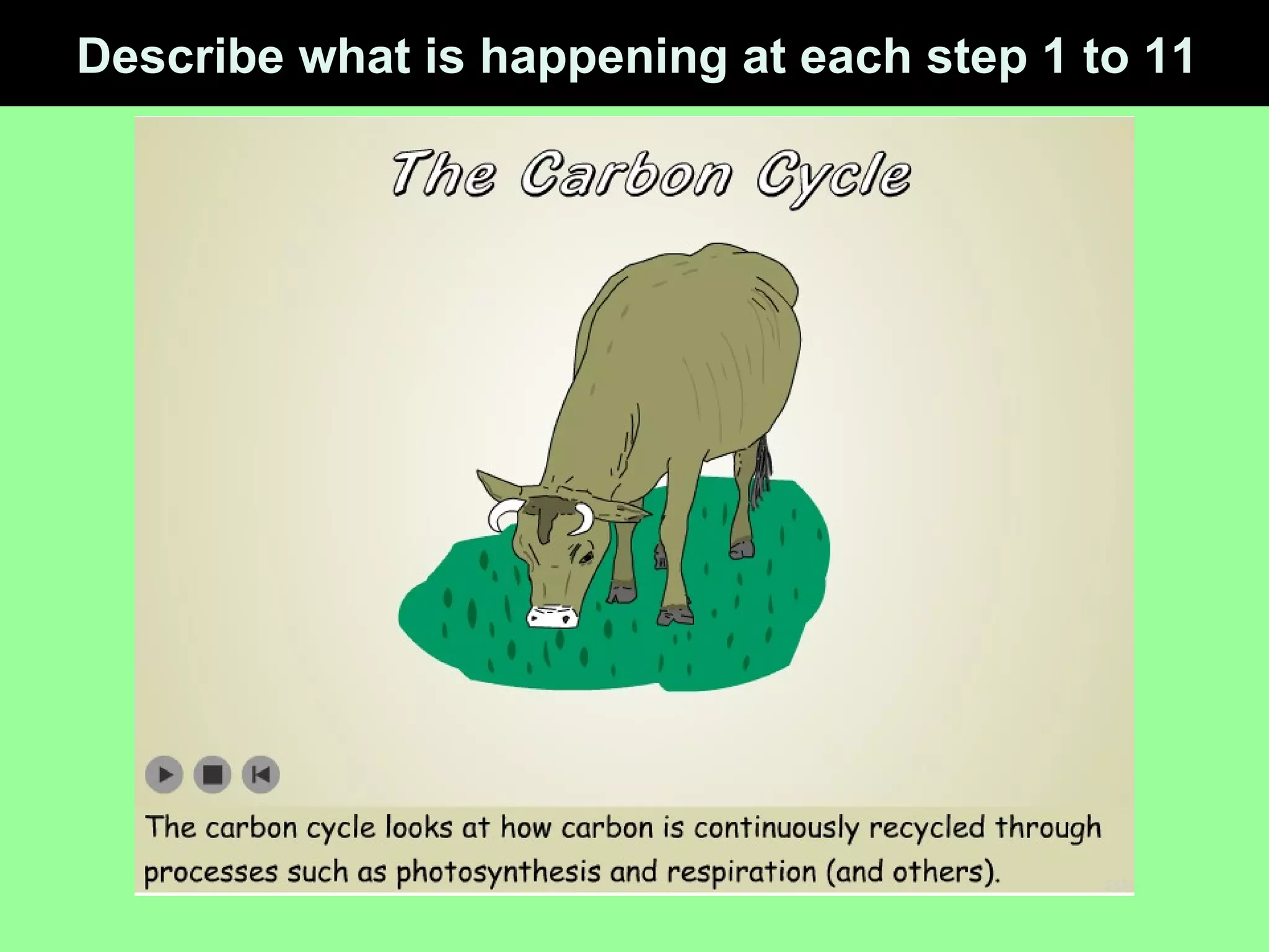 GCSE Biology Nutrient cycle | PPT