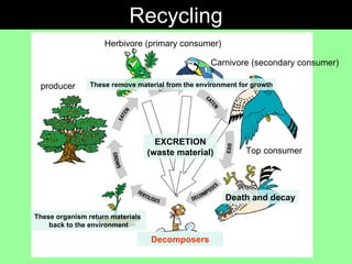 GCSE Biology Nutrient cycle | PPT