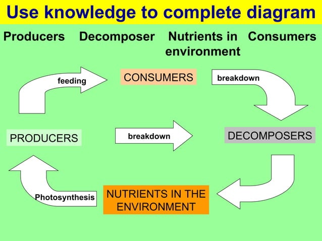 GCSE Biology Nutrient cycle | PPT
